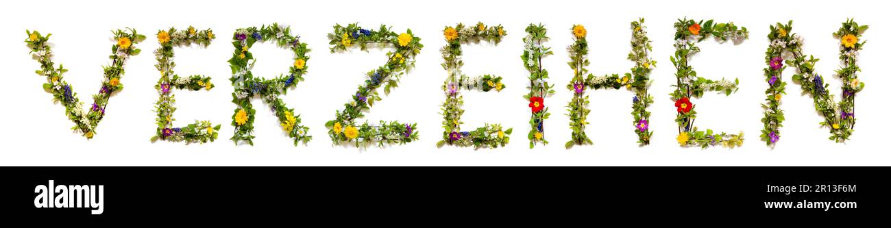 Colorful Blooming Flower Letters Building Verzeihen Means Forgive Stock ...