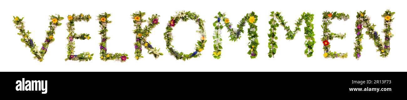 Colorful Flowers Building Norwegian Text Velkommen, Means Welcome in ...