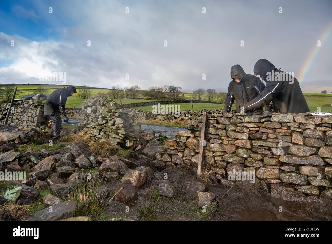 Drystone wallers renewing a stone wall on a wet winters day, Yorkshire ...