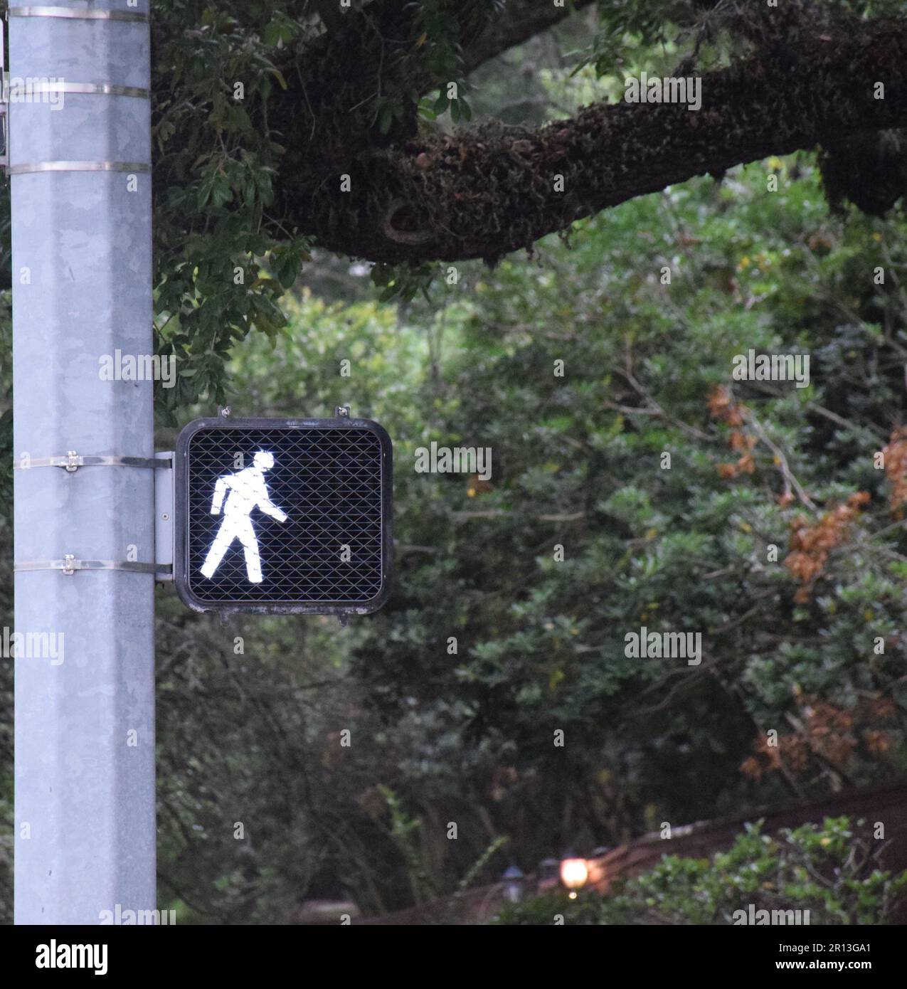 An illuminated walk street sign at a traffic signal Stock Photo - Alamy