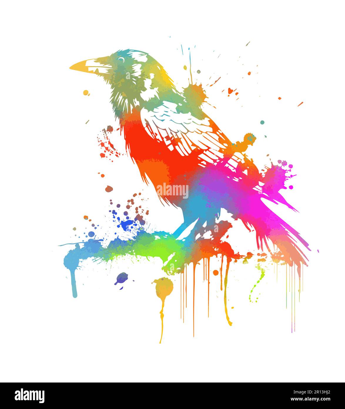 colorful crow ink pen. Vector illustration Stock Vector Image & Art - Alamy