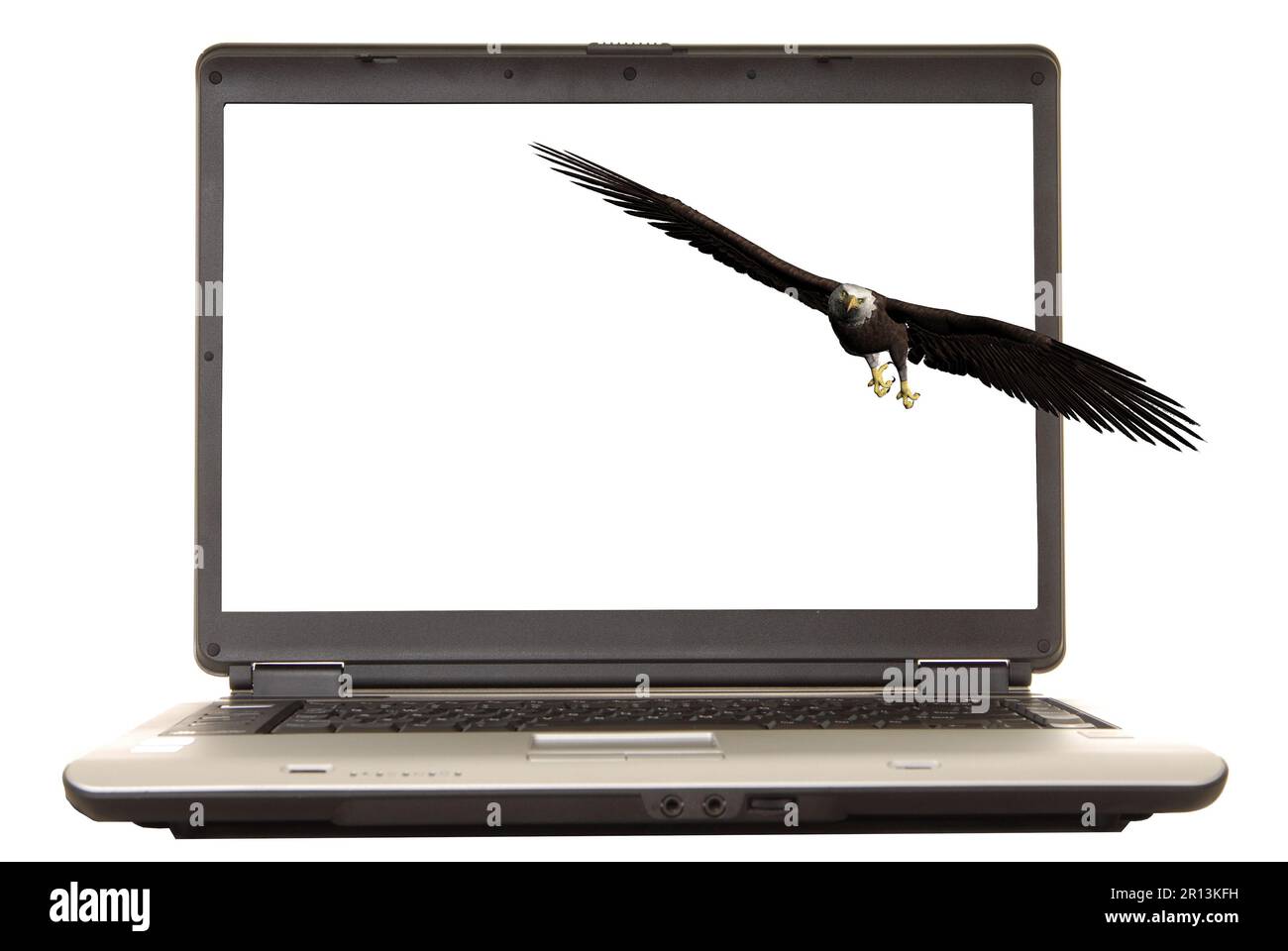 Illustrated eagle flying from a laptop computer monitor Stock Photo - Alamy