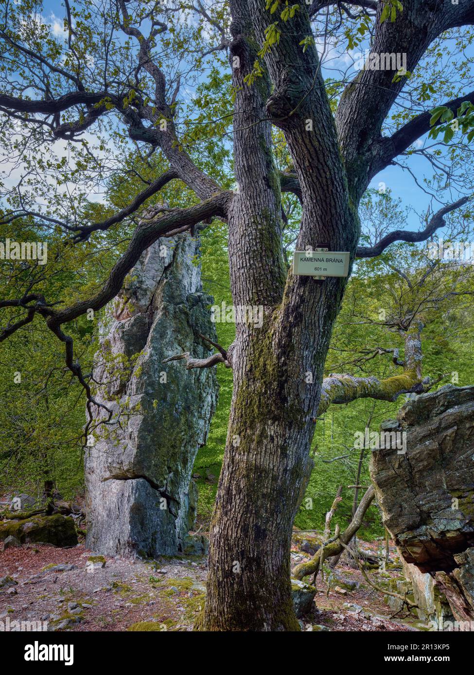 Kamenna brana hi-res stock photography and images - Alamy