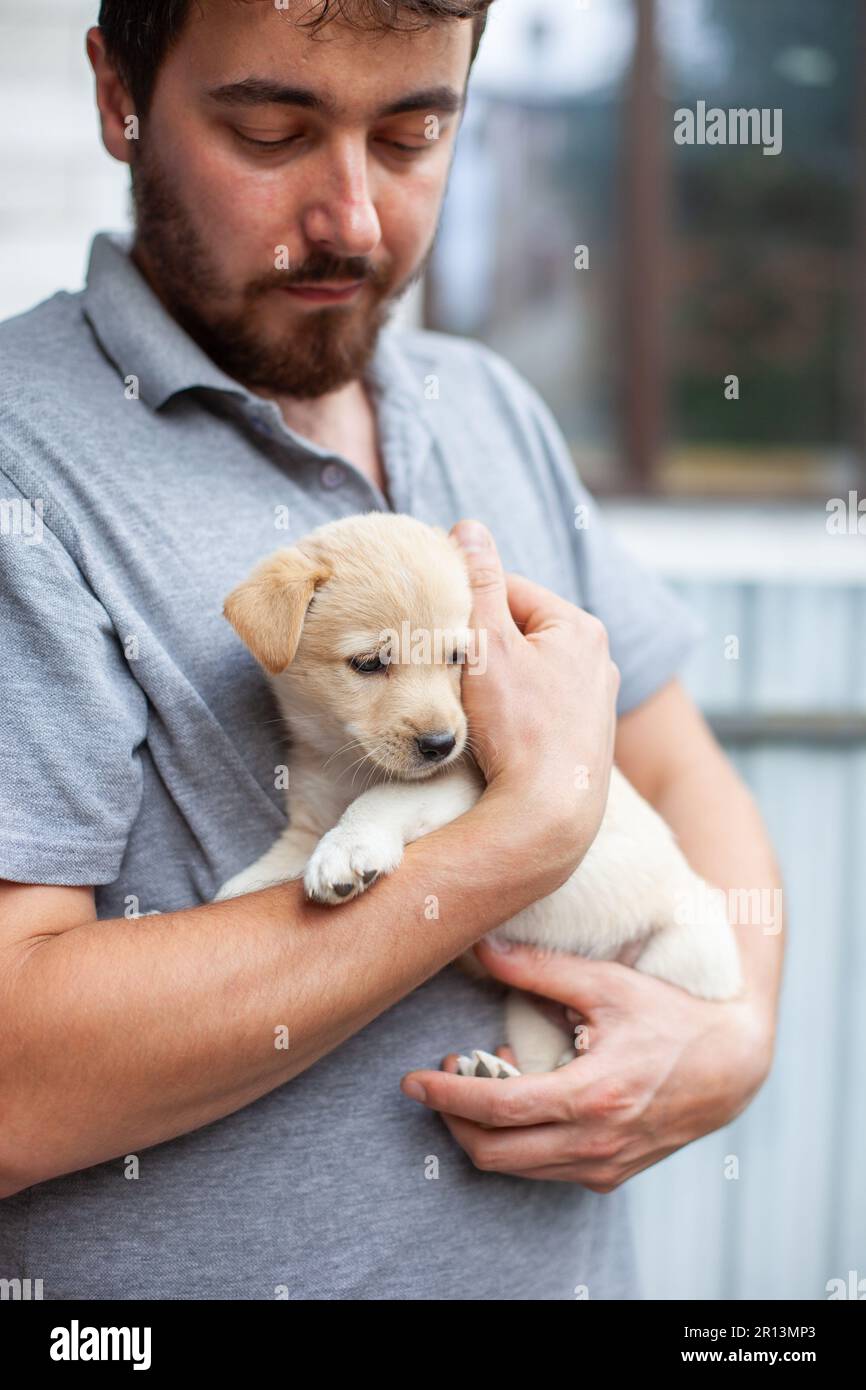 Homeless man street head hands hi-res stock photography and images - Alamy