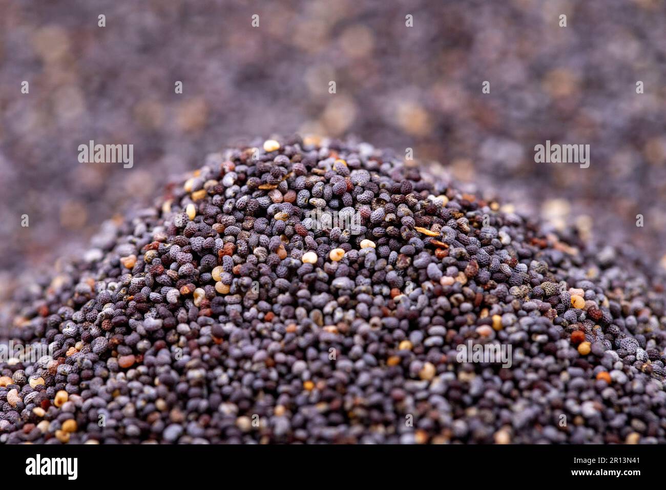 Blue poppy seeds. Spices concept. Background made of blue poppy seeds ...