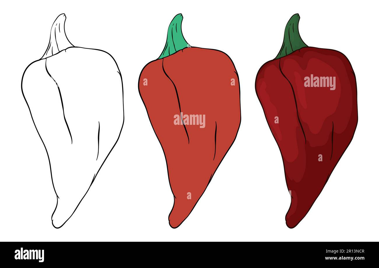 Three chili peppers in different variations: one in outlines for ...