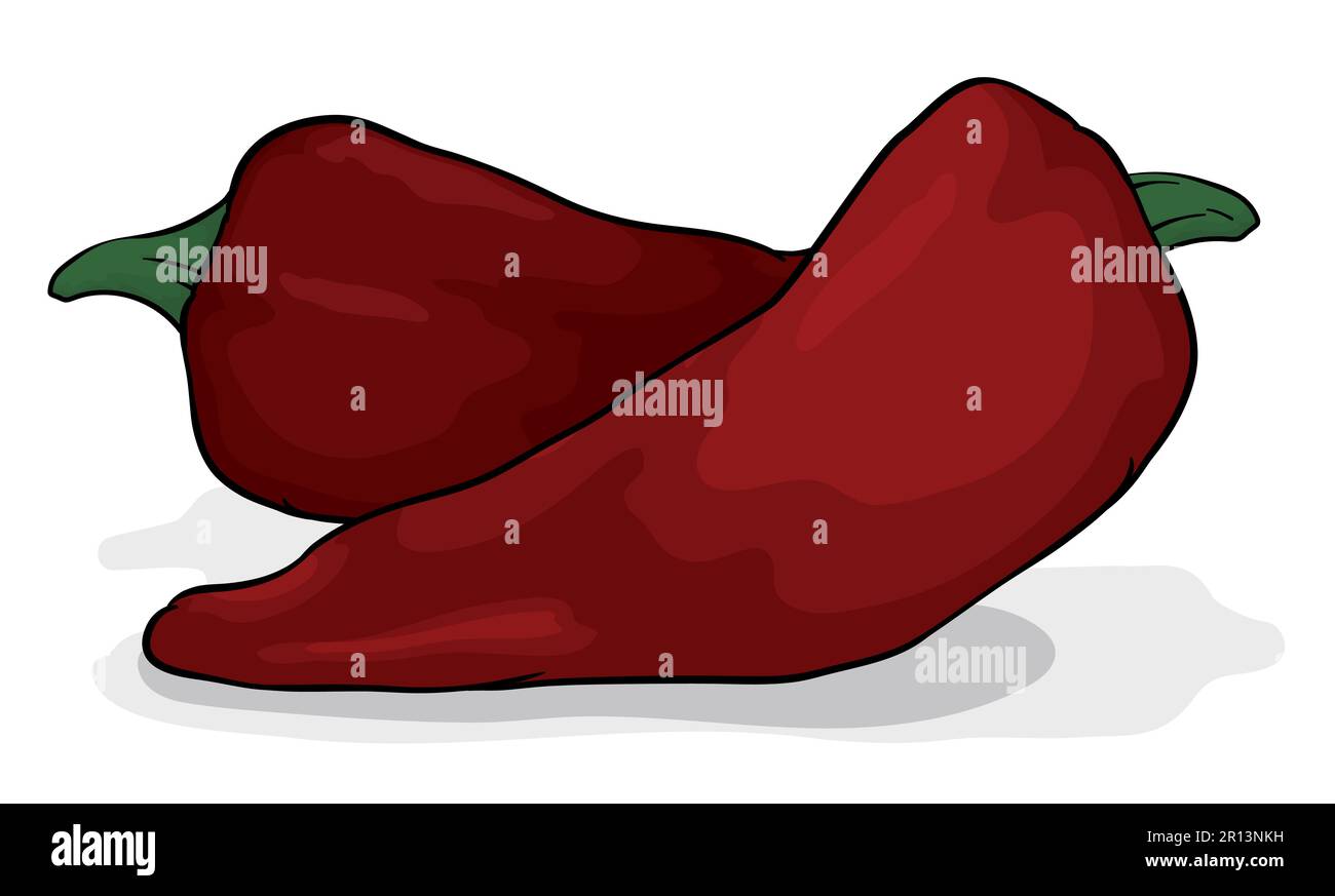 Two ripe spicy organic Stock Vector Images - Alamy