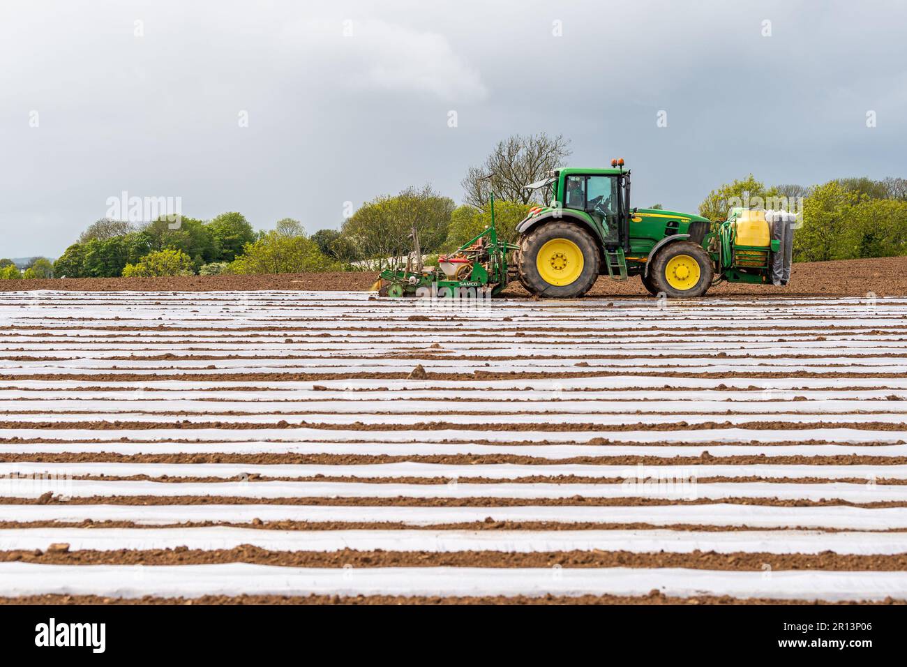 Burren, West Cork, Ireland. 11th May, 2023. Michael Keohane of Anthony ...