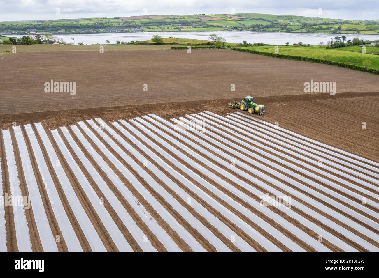 Burren, West Cork, Ireland. 11th May, 2023. Michael Keohane of Anthony ...
