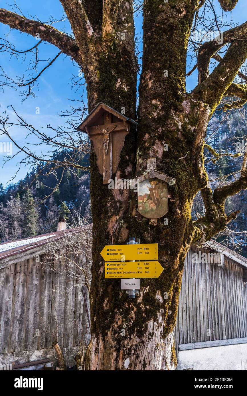 Signpost for hiking trails on a tree in the Alps, along with Christian ...