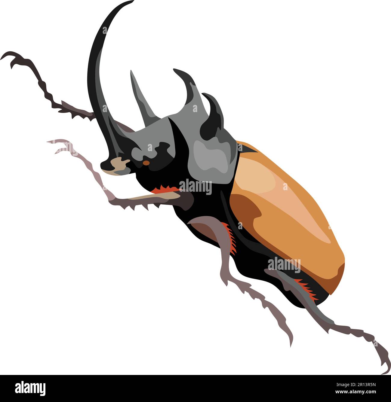 Beetle Insect Animal Vector Stock Vector Image & Art - Alamy