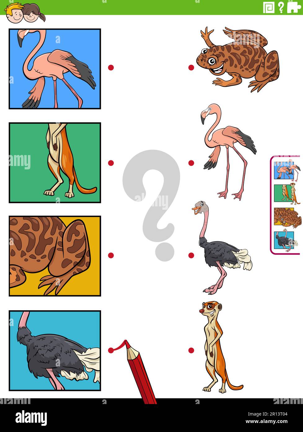 Cartoon illustration of educational matching game with animal ...
