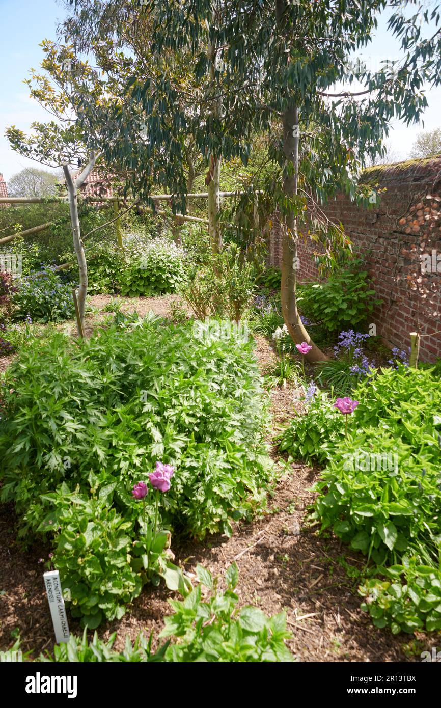 Early Spring flowers in an English Elizabethan Walled Garden, East ...