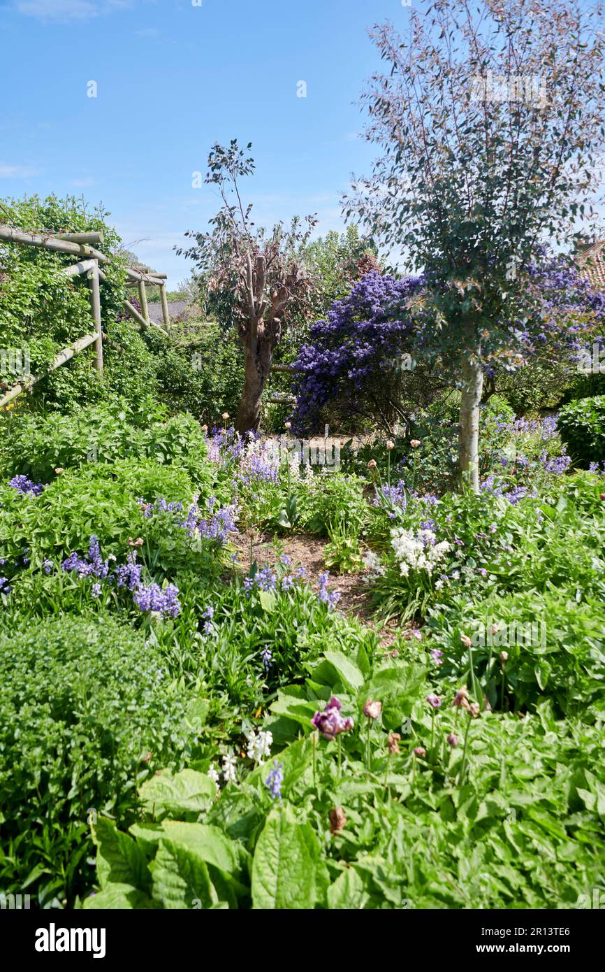 Early Spring flowers in an English Elizabethan Walled Garden, East ...