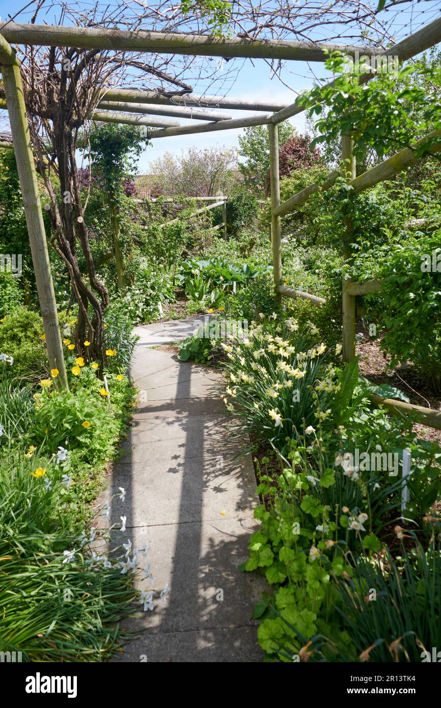 Early Spring flowers in an English Elizabethan Walled Garden, East ...