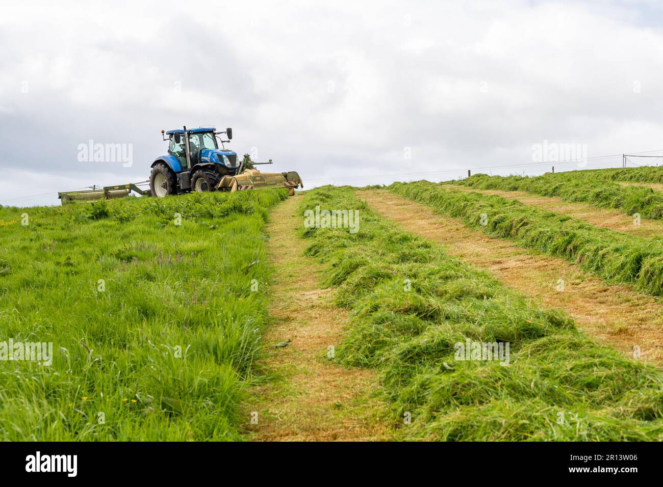 Timoleague, West Cork, Ireland. 11th May, 2023. Michael Keohane of Eoin ...