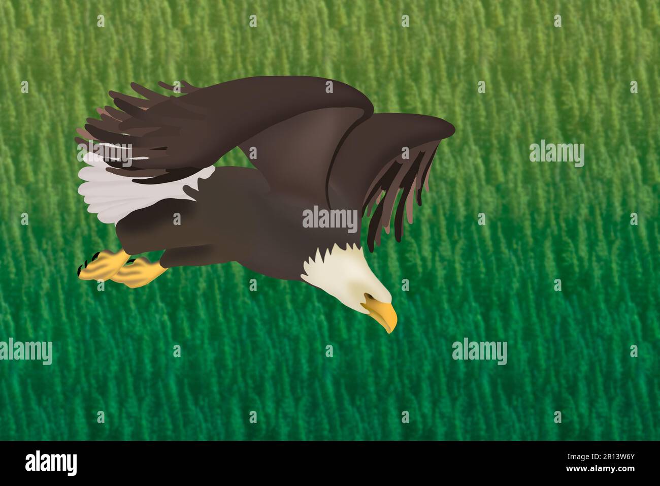 Bald eagle flying illustration, digital art. North America, wild animal ...