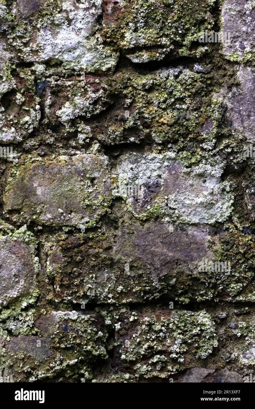 Old weathered Victorian brickwork for use as a background texture Stock ...