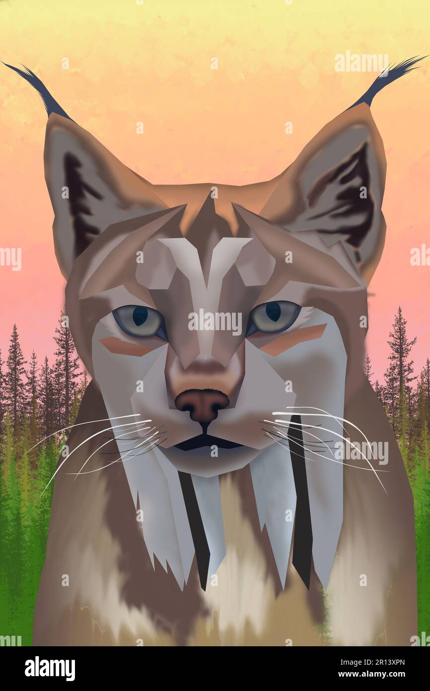 Digital artwork of a wild Canadian Lynx hand drawn art of big cat ...