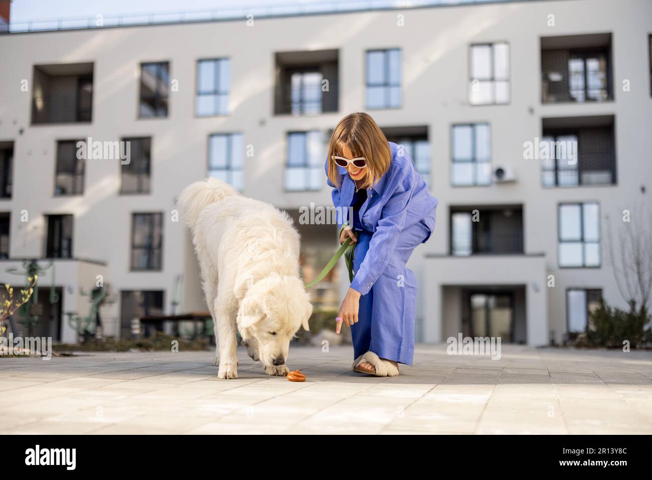 Woman points finger on dog's poop, walking with pet Stock Photo - Alamy