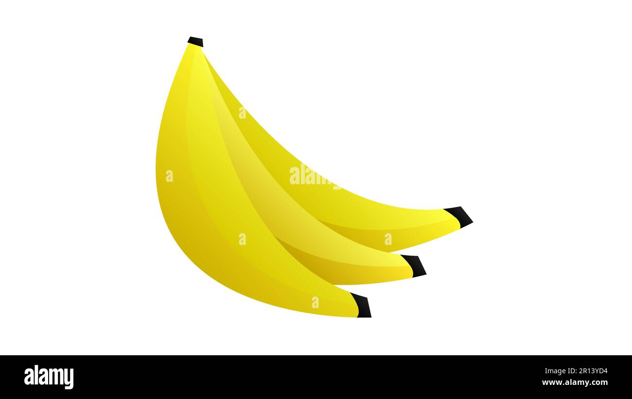 vector banana illustration. Hand drawn banana branch. Fresh yellow ...