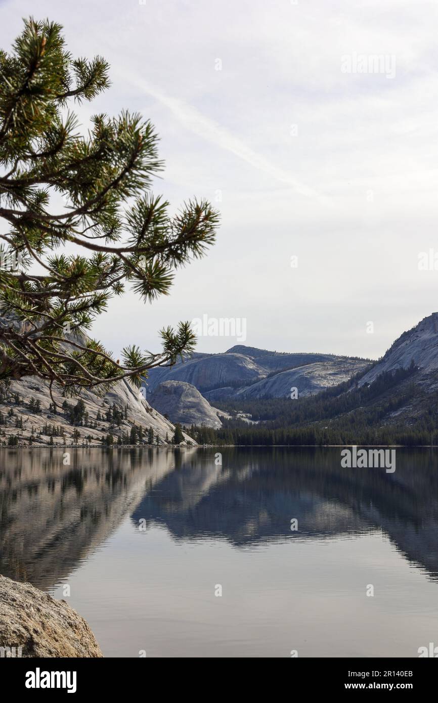 The Teneya Lake at Yosemite National Park, California surrounded by ...