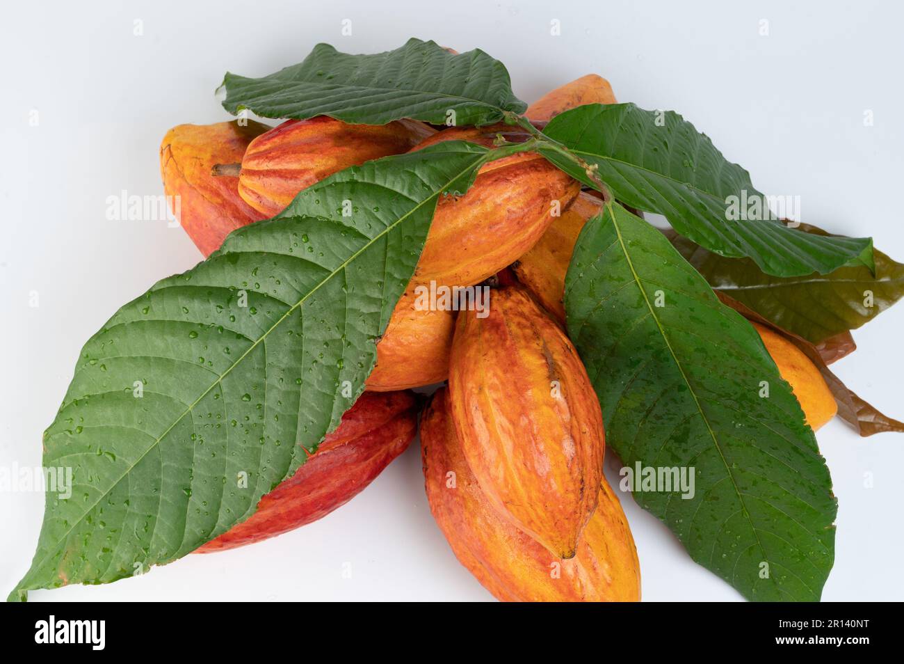 Fresh cacao cut harvest pile above top view isolated on white studio ...