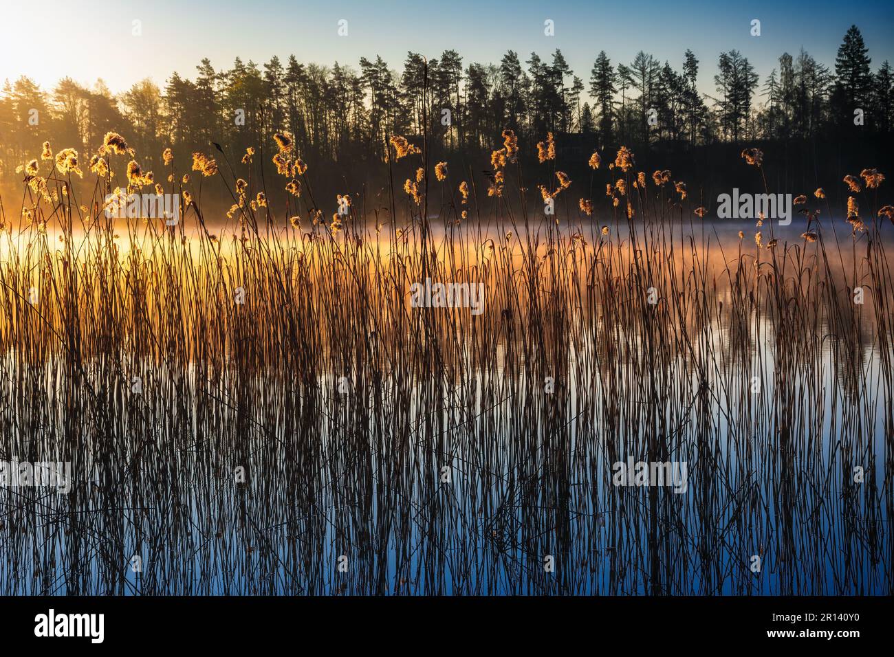 The first rays of the rising sun over Lake Gowidlińskie. Kashubia ...