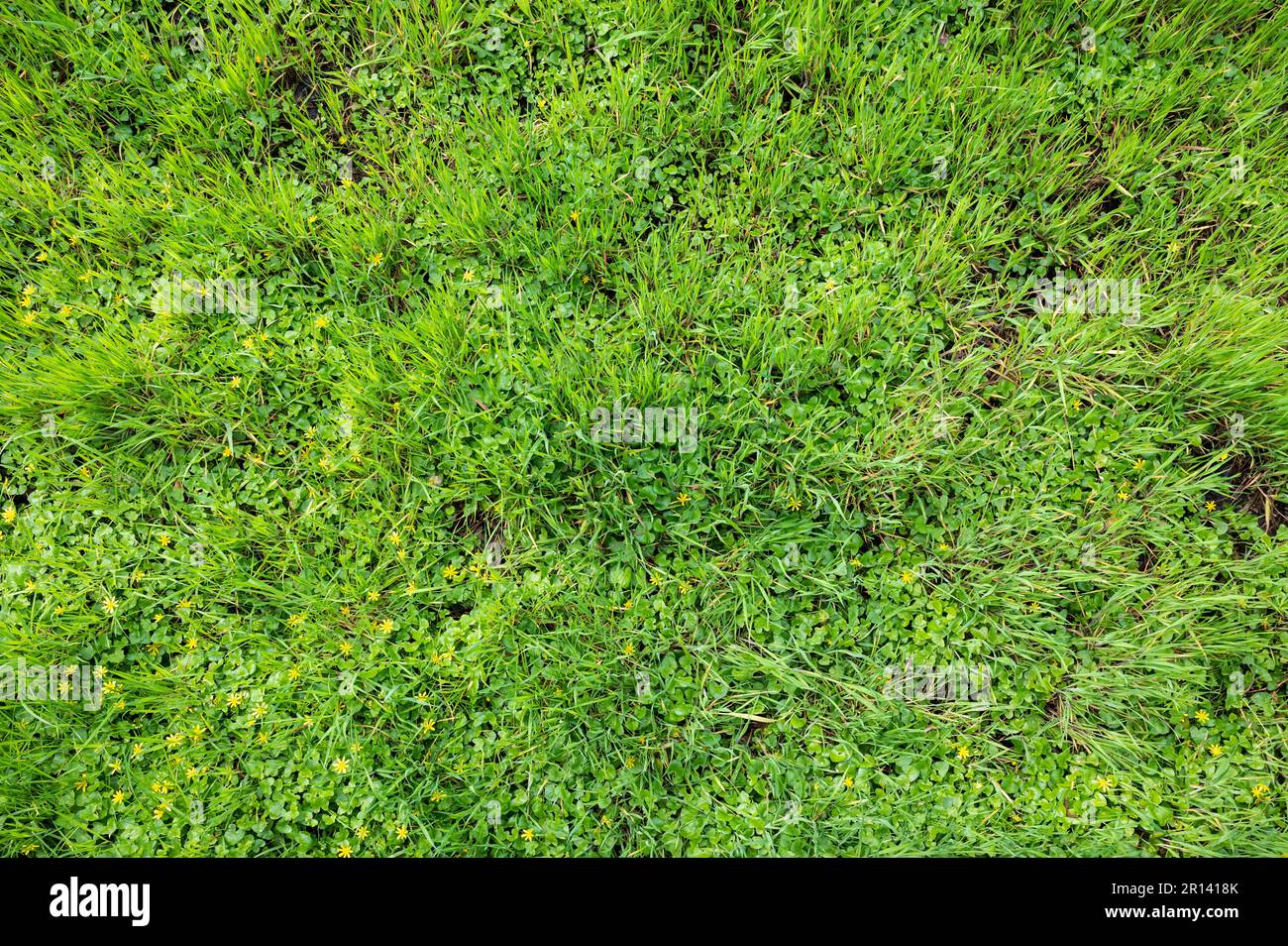 Eindhout hi-res stock photography and images - Alamy