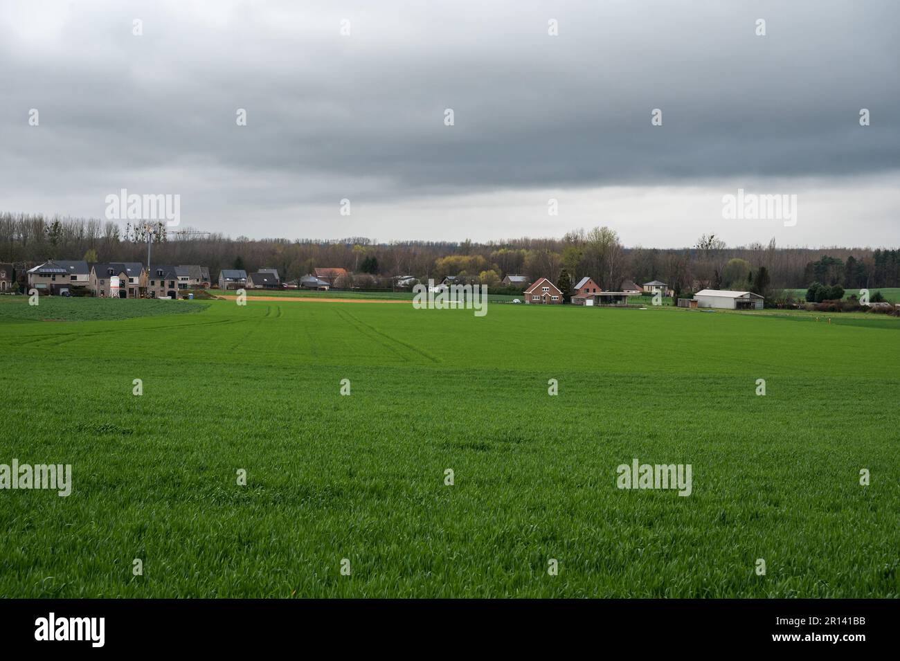 Agriculture fields with the fillage houses in the background the ...