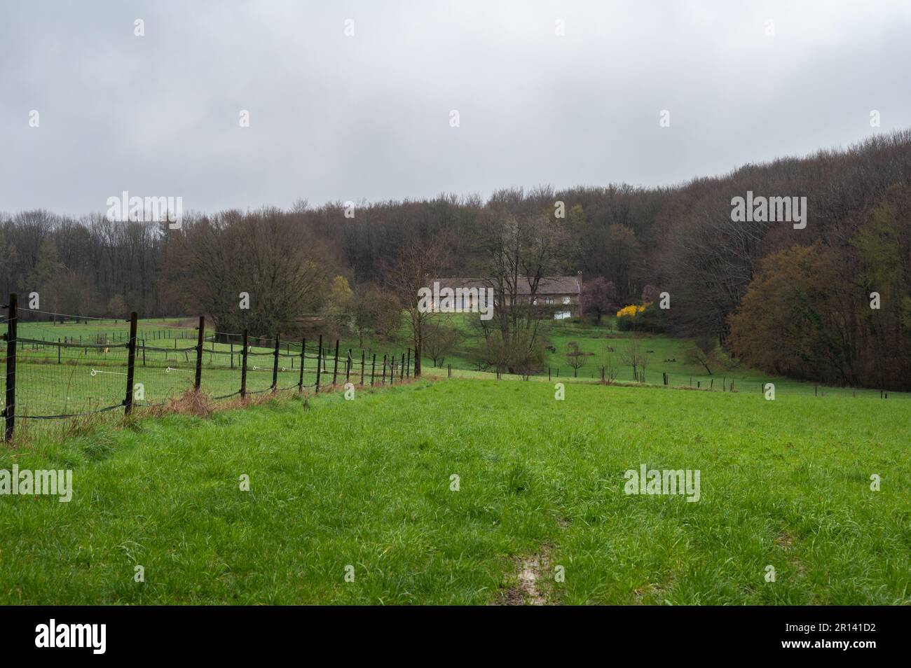 Trees and green meadows at the Flemish countryside around Bertem ...