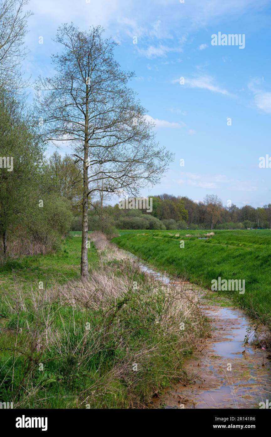 The Grote Nete river through green lawns around Westerlo, Antwerp ...