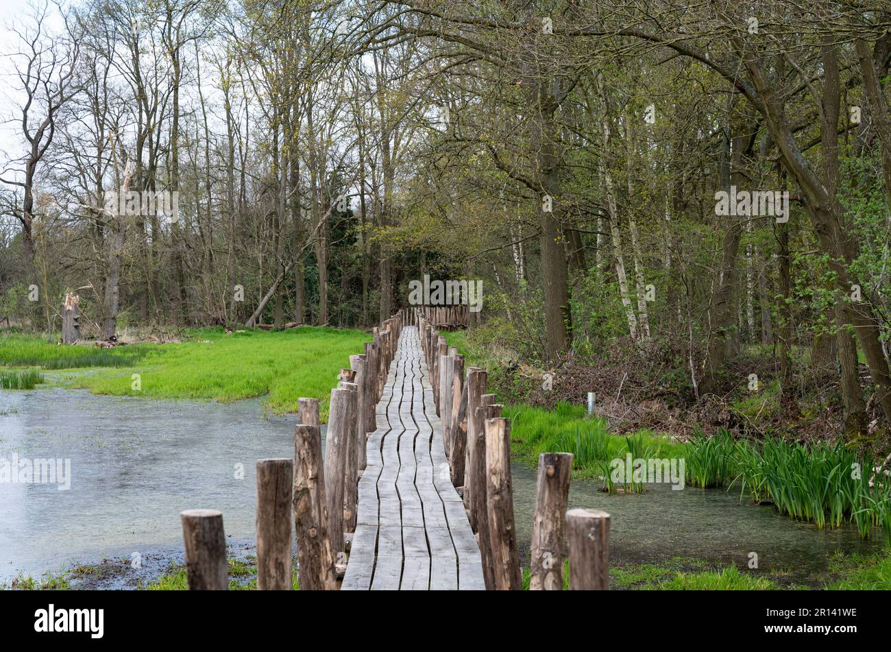 Laakdal hi-res stock photography and images - Alamy