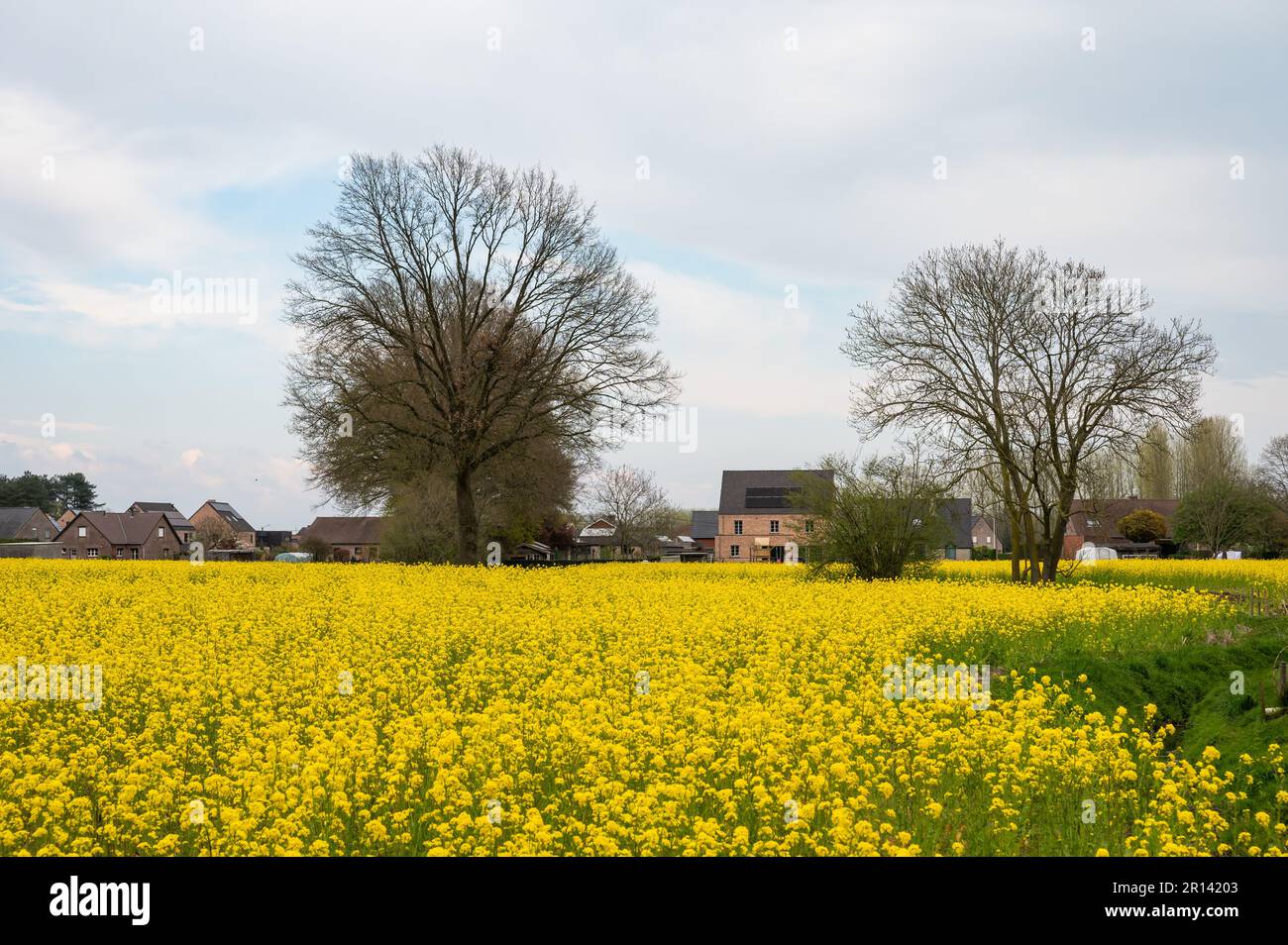 Eindhout hi-res stock photography and images - Alamy