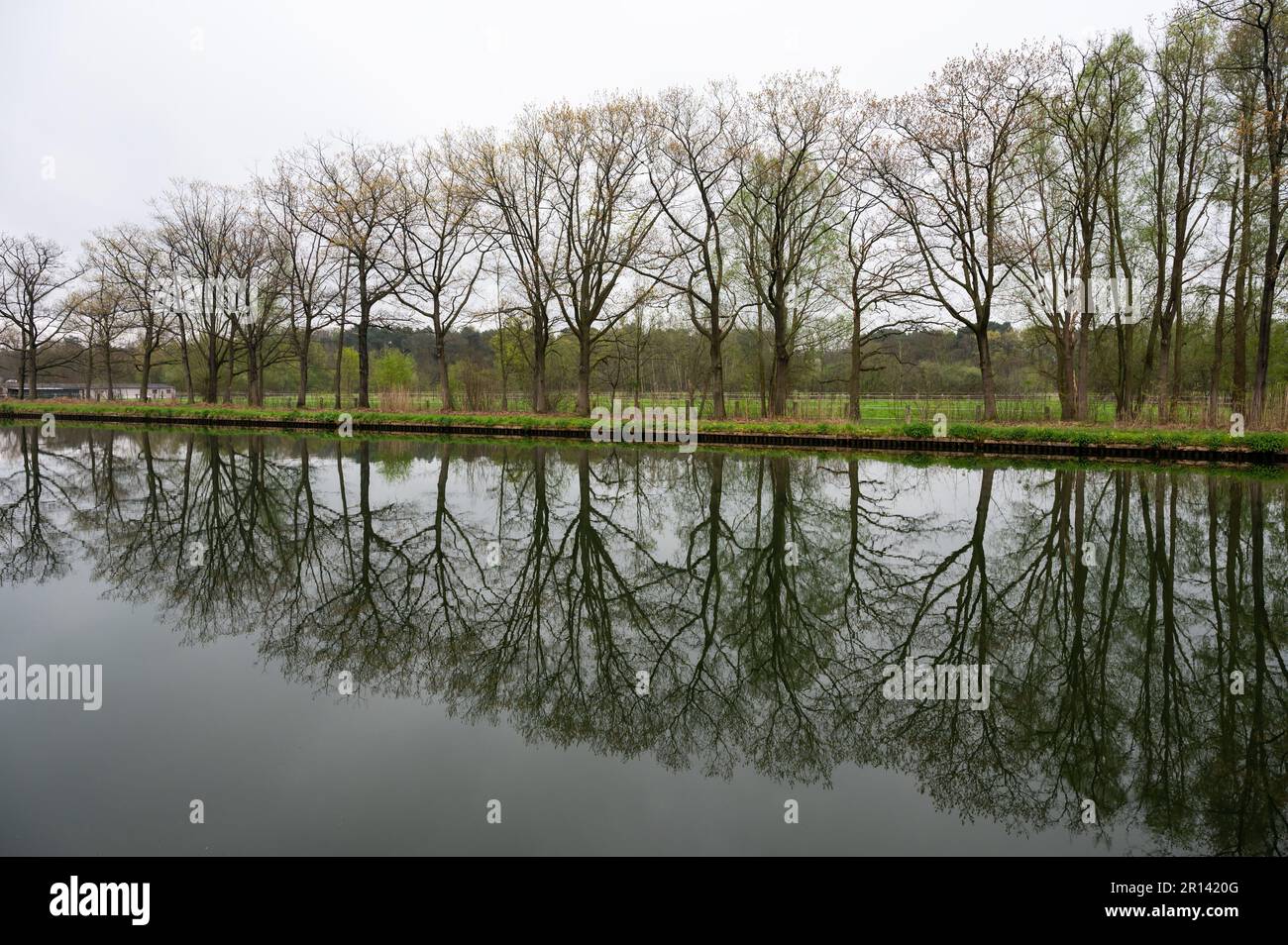 Geel antwerp hi-res stock photography and images - Alamy