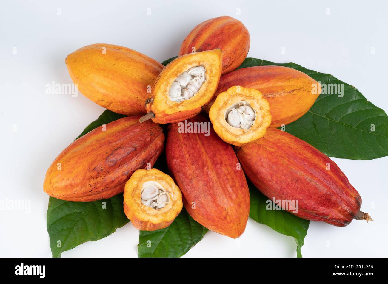 Raw cacao sliced orange pods isolated on white studio background macro ...