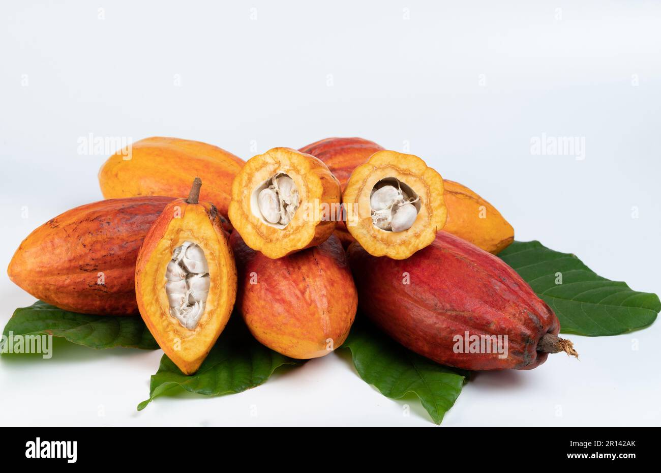 Pile of riped cacao plant pods with green leafs isolated on white ...