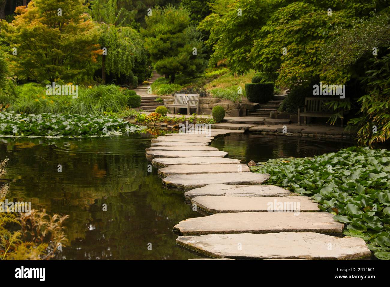 Beautiful view of park with pond, stone pathway and green plants Stock ...