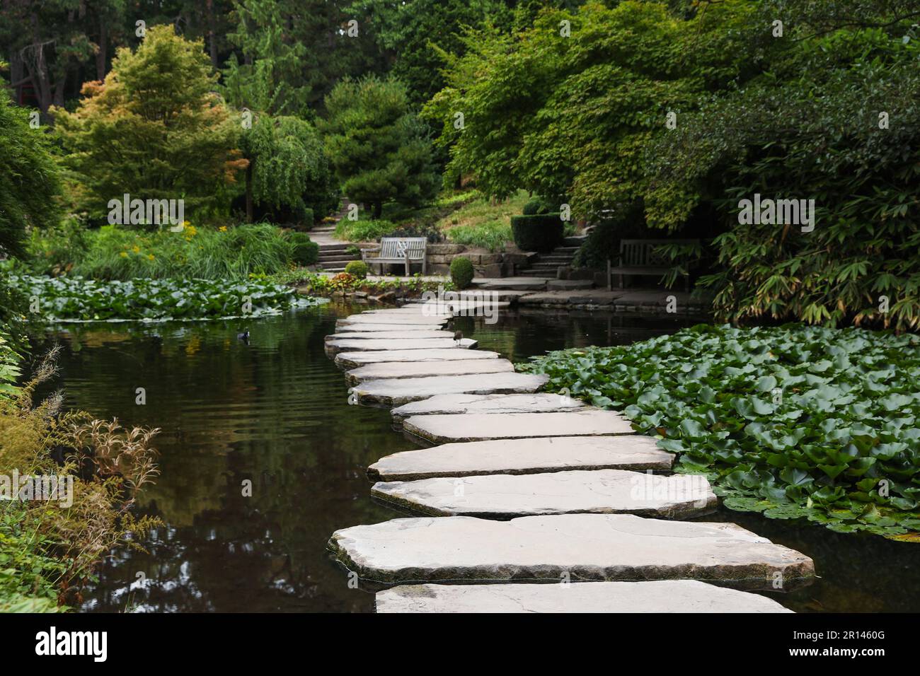 Beautiful view of park with pond, stone pathway and green plants Stock ...