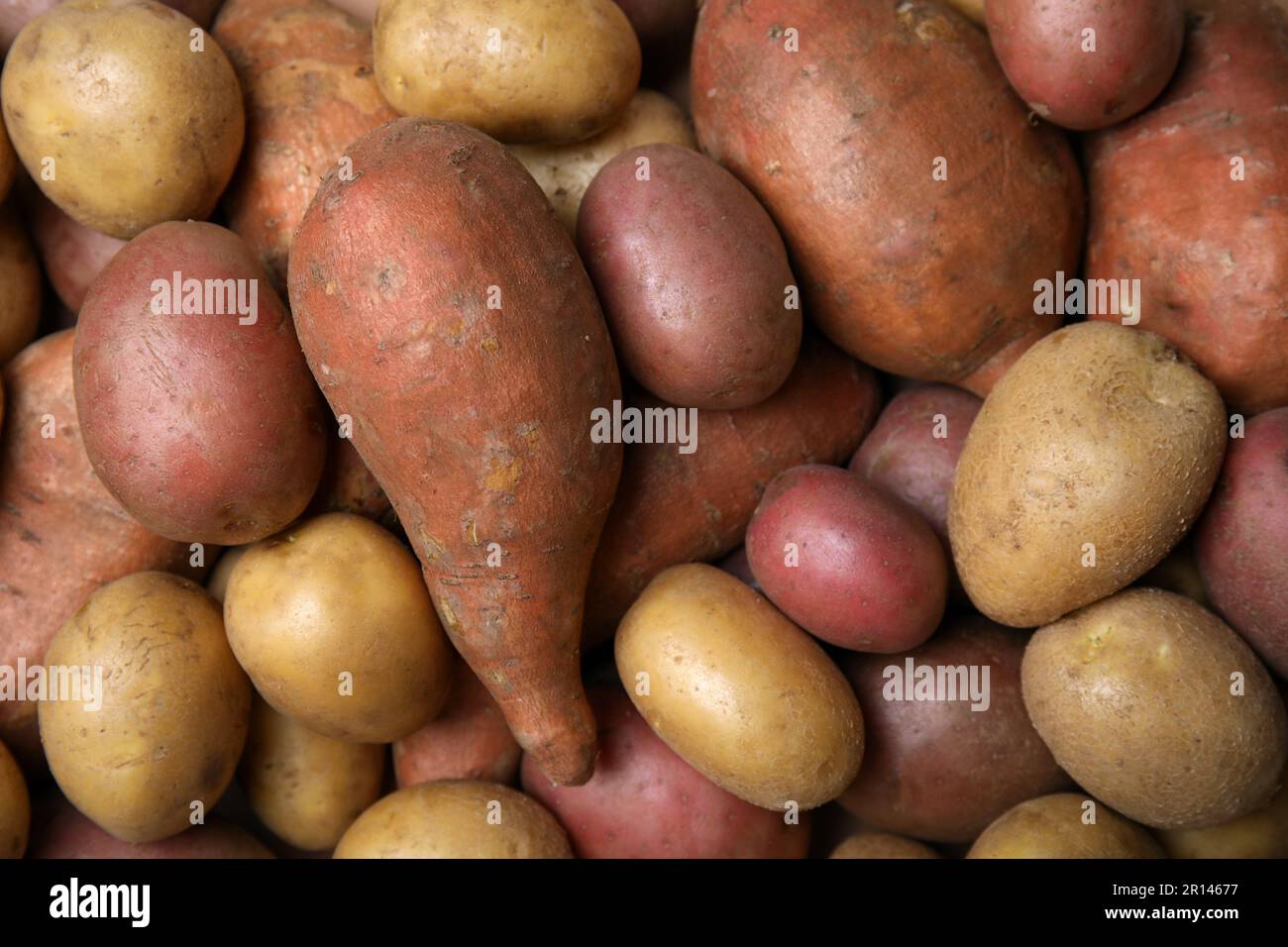 Different types of fresh potatoes as background, top view Stock Photo ...