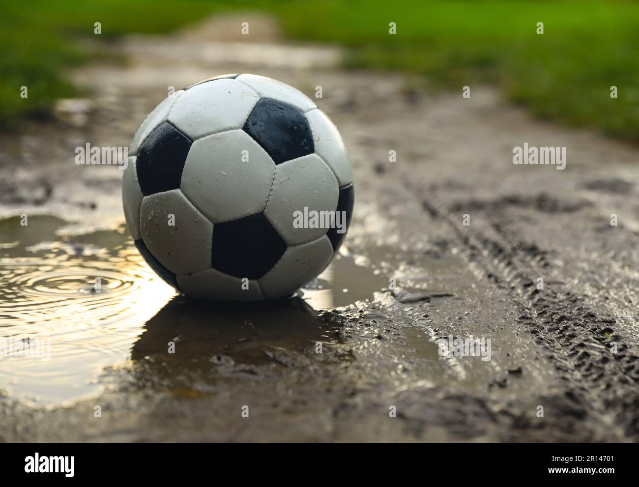Leather soccer ball in puddle outdoors, space for text Stock Photo - Alamy