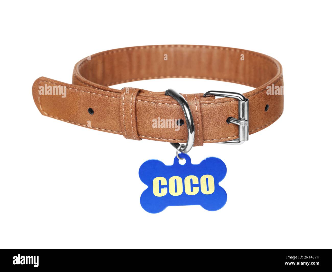 Coco dog Cut Out Stock Images & Pictures - Alamy
