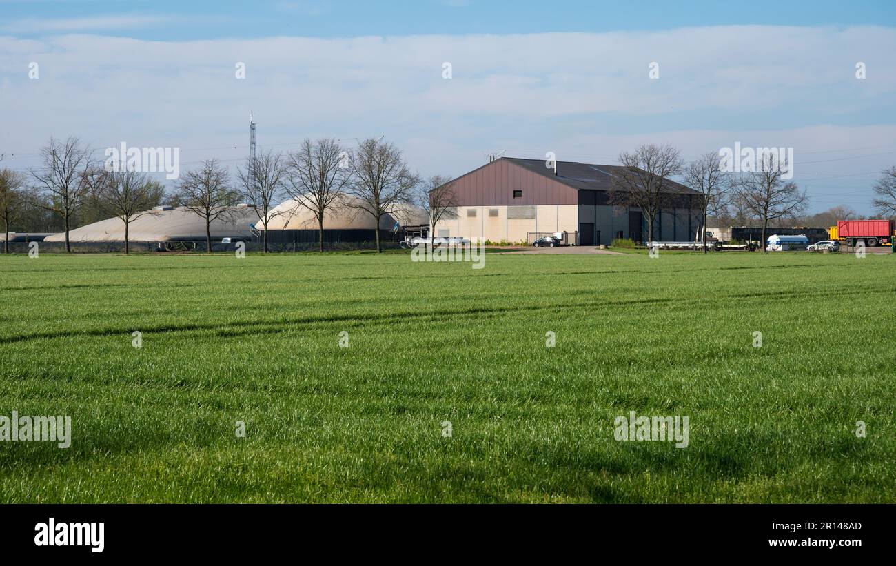 Meerhout, Antwerp Province, Belgium - April 21, 2023 - Green field with ...