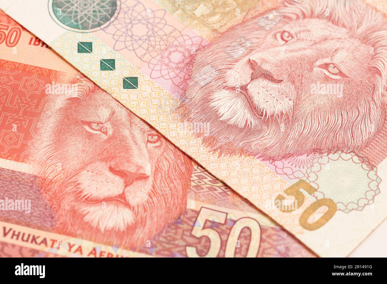 South African money 50 rand banknote Stock Photo - Alamy