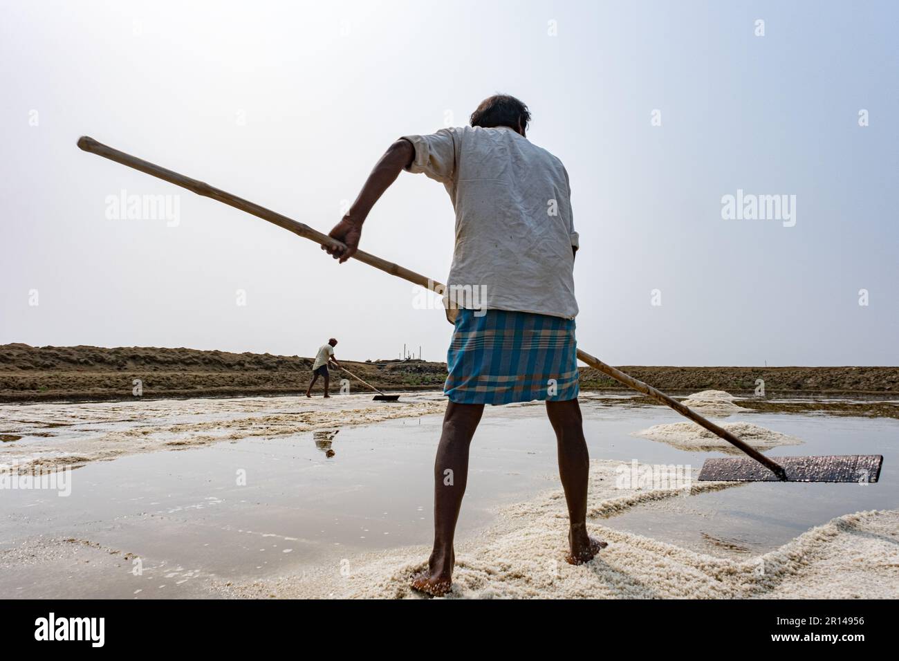 Salt workers are busy in making salt as the season has been started. In ...