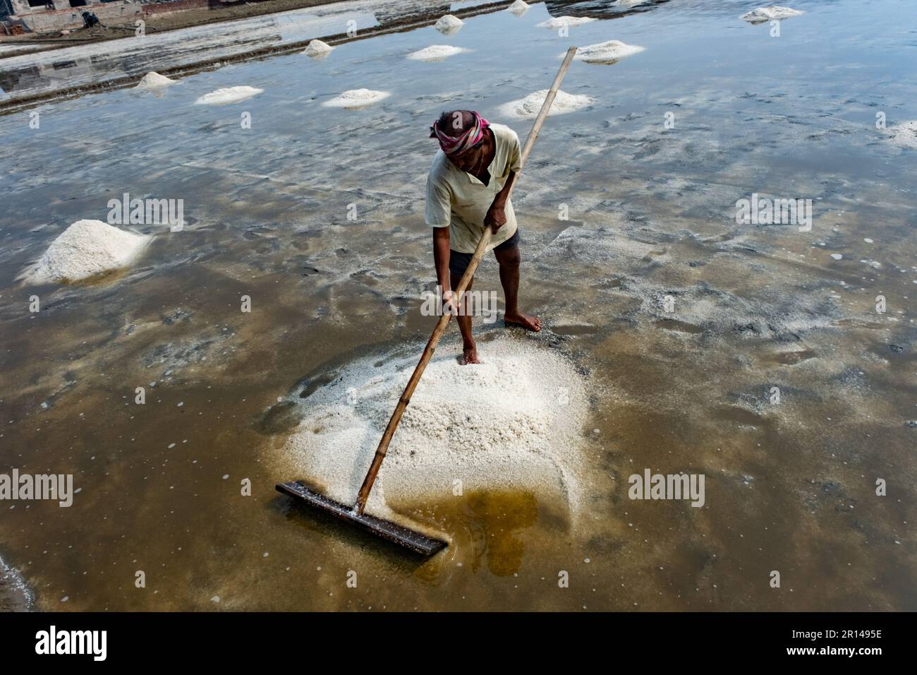 Salt workers are busy in making salt as the season has been started. In ...