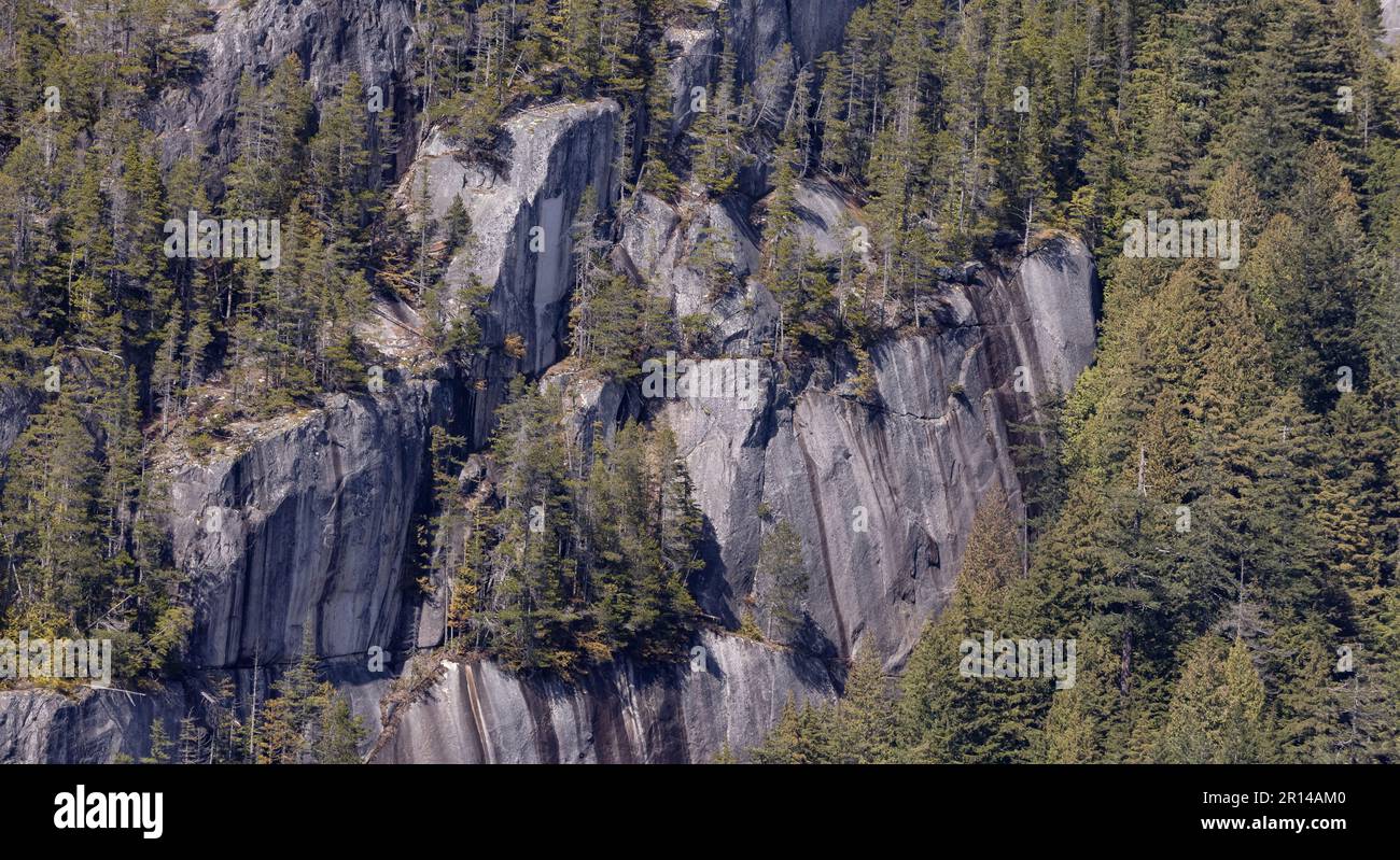 Rocky cliffs on Chief Mountain in Squamish, BC, Canada Stock Photo - Alamy