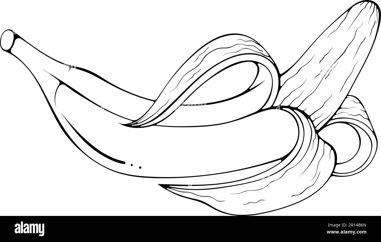 Peeled banana line art Stock Vector Image & Art - Alamy