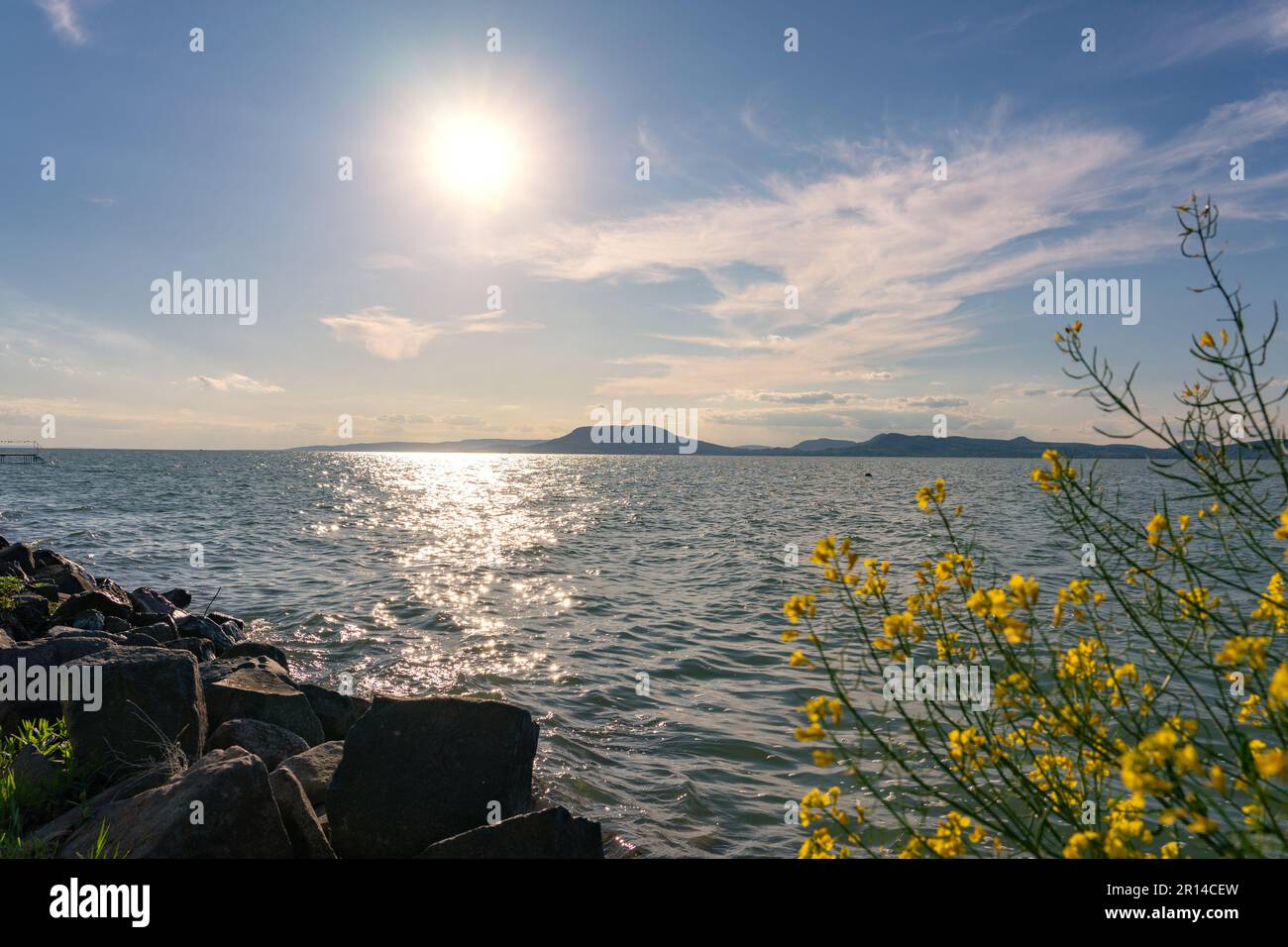 free beach on Lake Balaton with nature in Balatonboglar Hungary Stock ...