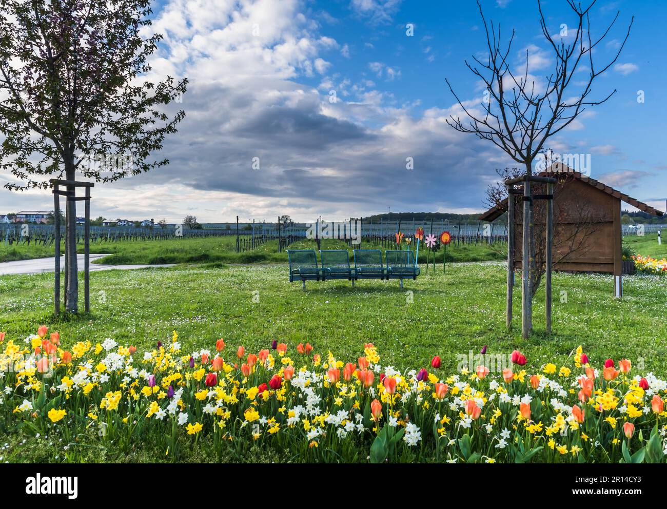 Beautiful spring flower bed in a small public park with seating Stock ...